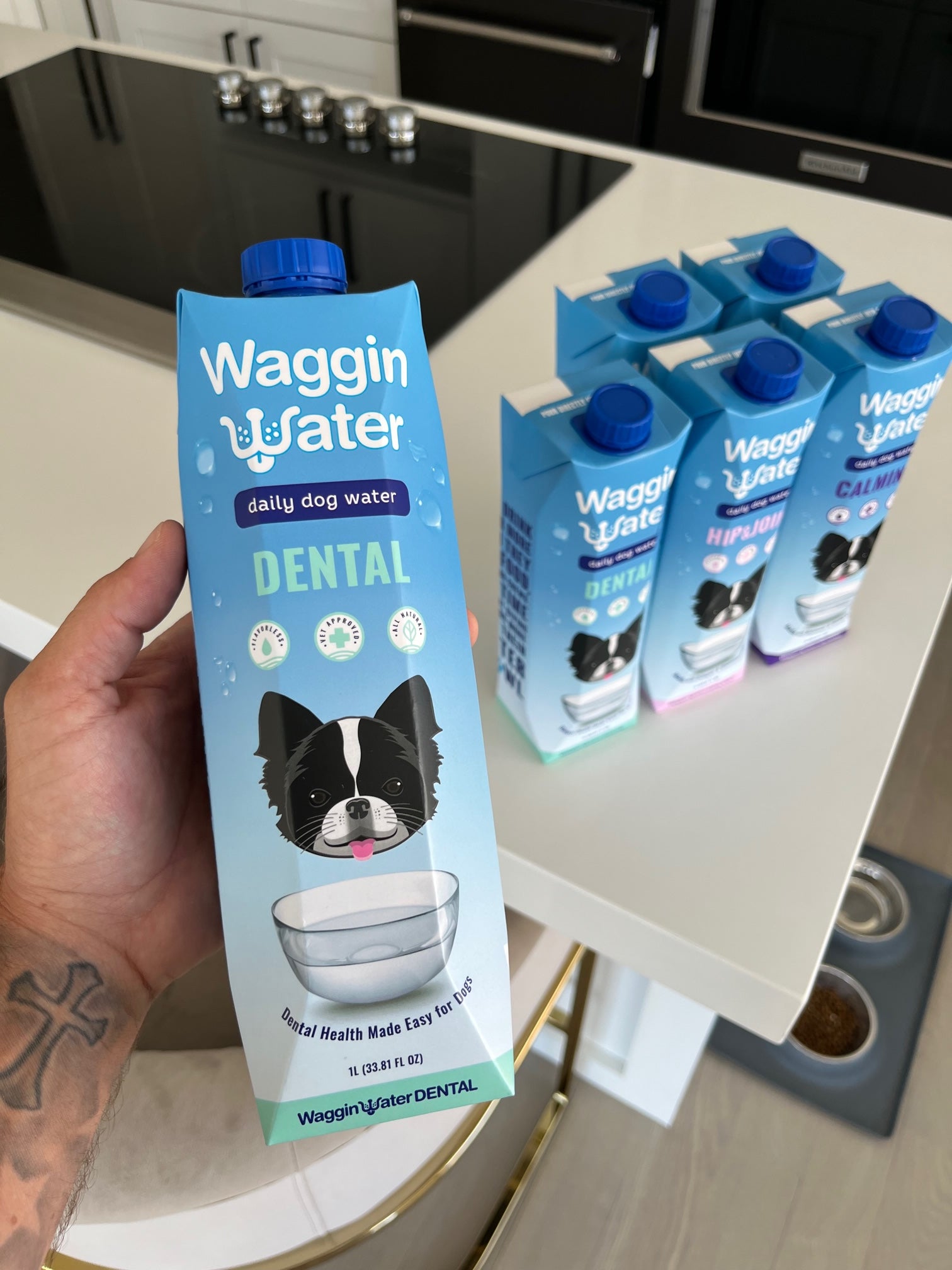 Debuting "Daily Dog Water" @ SuperZoo – Waggin Water