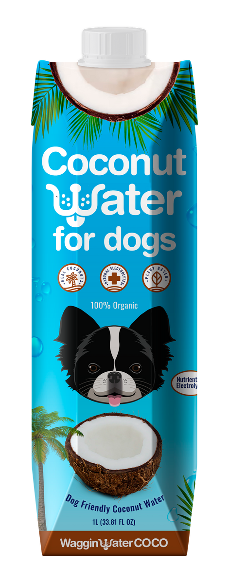 Coconut Water for Dogs - 6-pack (1L) – Waggin Water