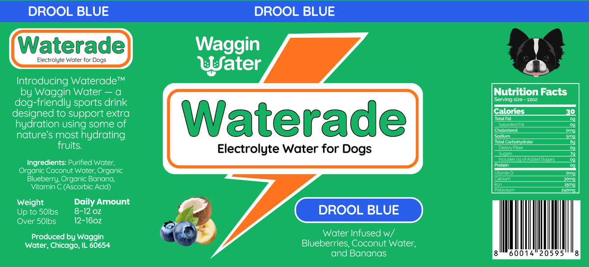 Waterade by Waggin Water | Drool Blue | 12oz (4-pack)