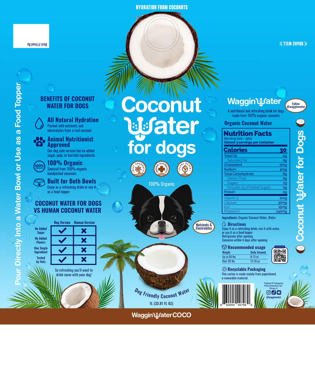 Coconut Water for Dogs - 6-pack (1L) – Waggin Water