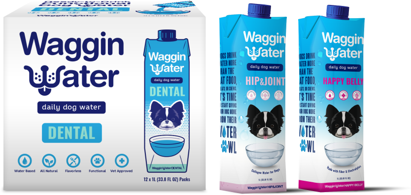 Waggin Water | Functional Dog Hydration
